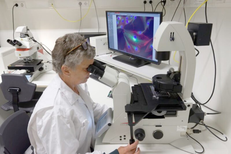 Leica DMi8 Inverted Microscope | Advanced Live Cell Imaging