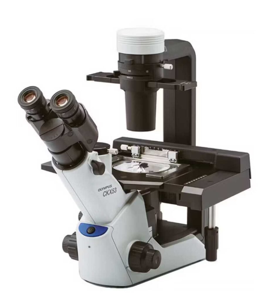 Olympus CKX53 Inverted Microscope: Advanced Cell Culture Imaging