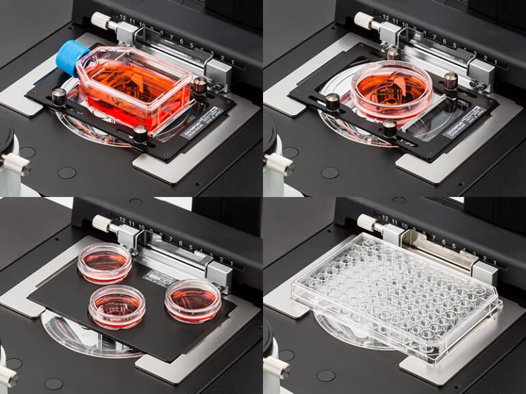 Olympus CKX53 Inverted Microscope: Advanced Cell Culture Imaging