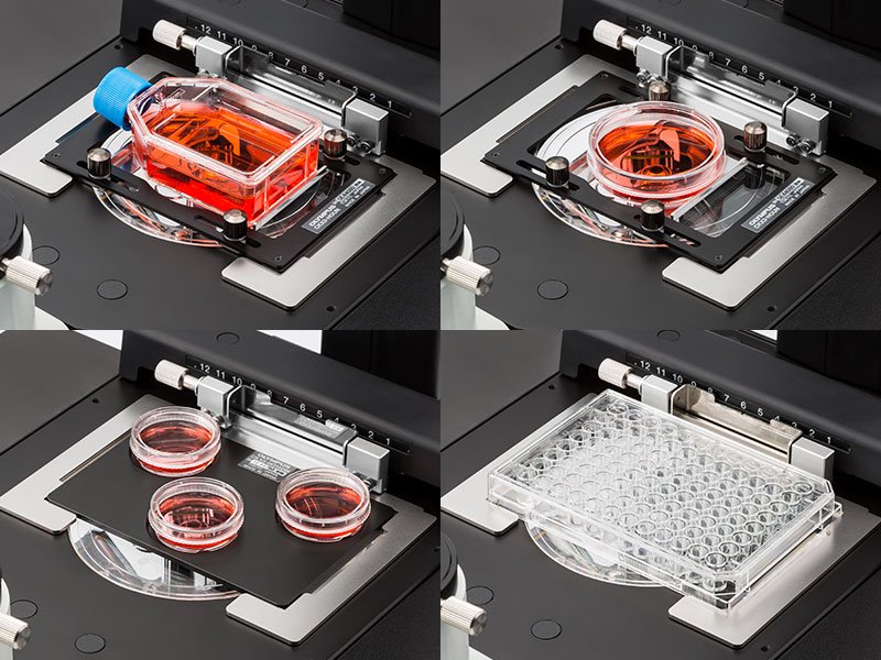 Olympus CKX53 Inverted Microscope: Advanced Cell Culture Imaging