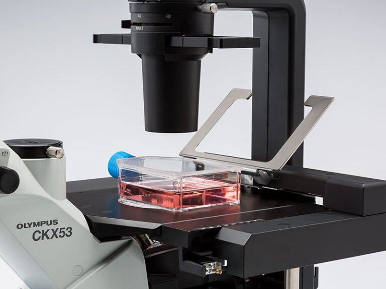 Olympus CKX53 Inverted Microscope: Advanced Cell Culture Imaging