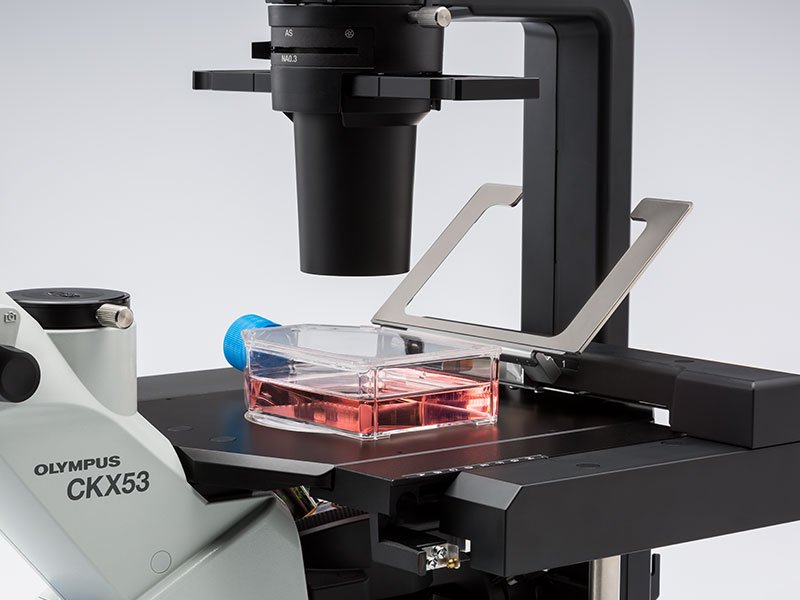 Olympus CKX53 Inverted Microscope: Advanced Cell Culture Imaging